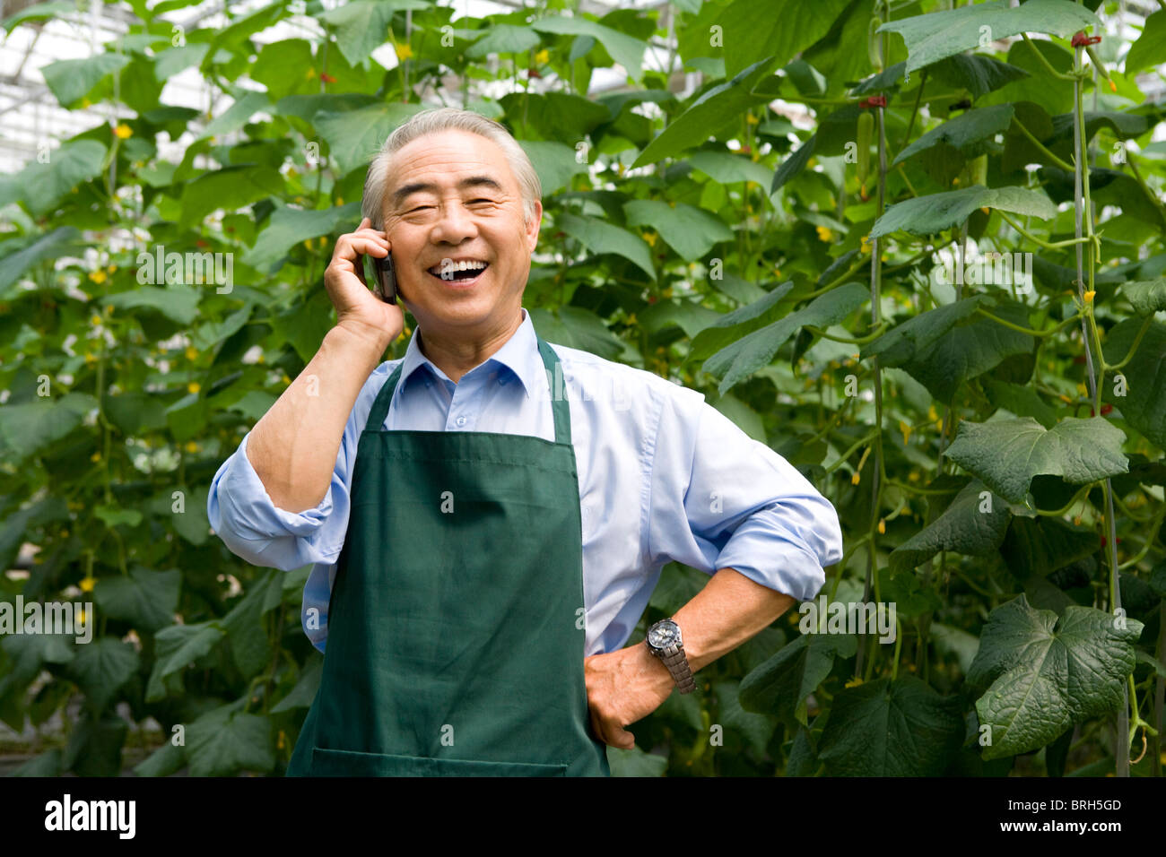 Farmer talk on the phone in modern farm Stock Photo - Alamy