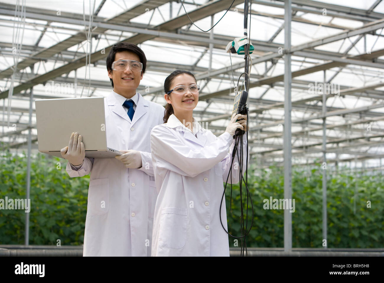 Scientists doing research in modern farm Stock Photo - Alamy