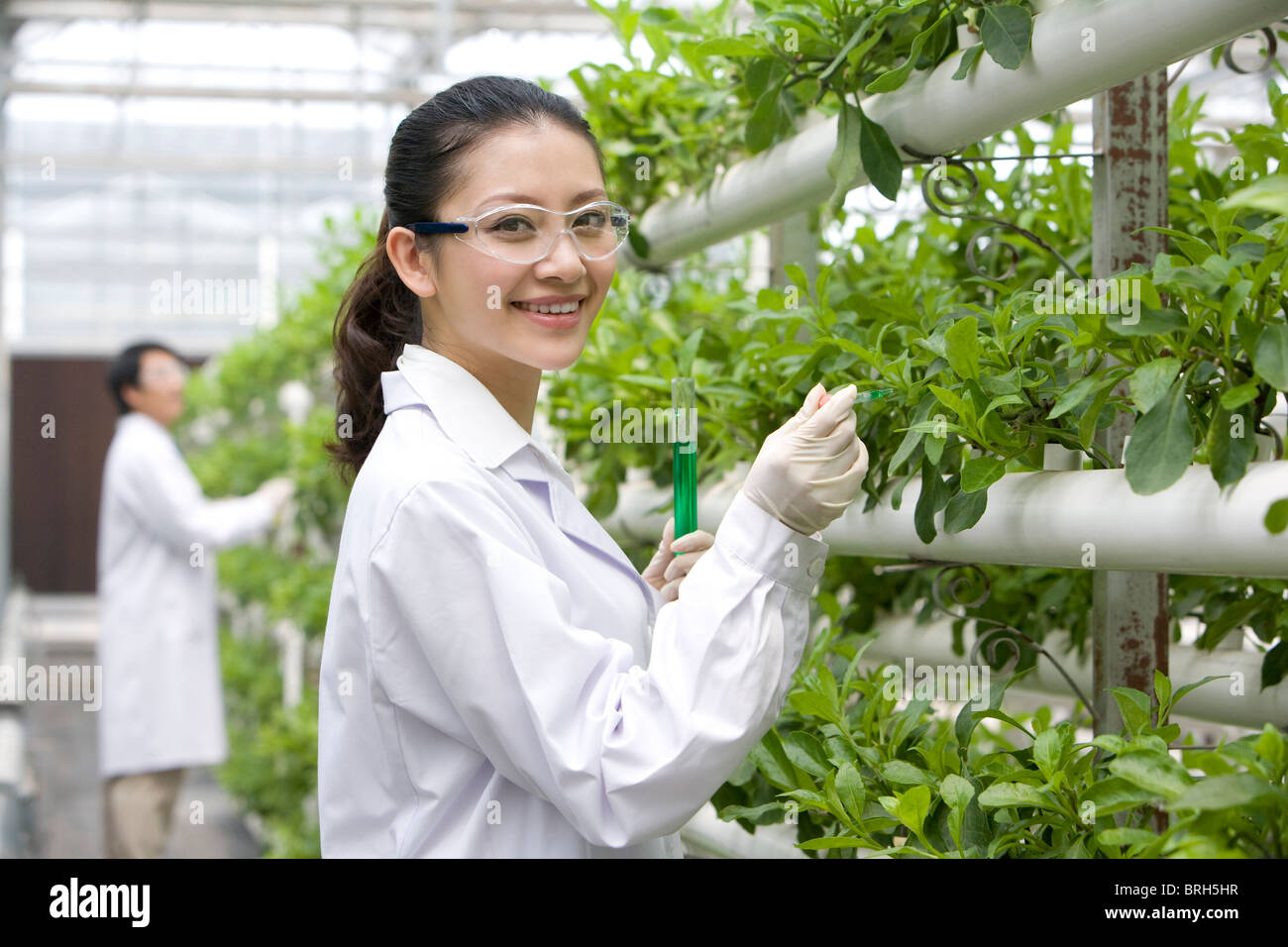 Scientists doing research in modern farm Stock Photo - Alamy