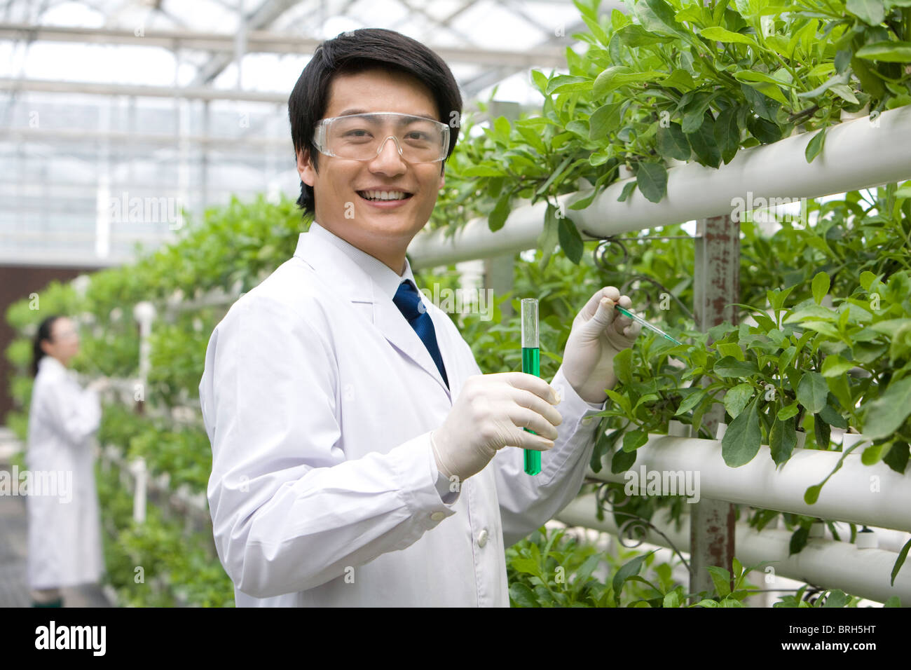 Scientists doing research in modern farm Stock Photo - Alamy