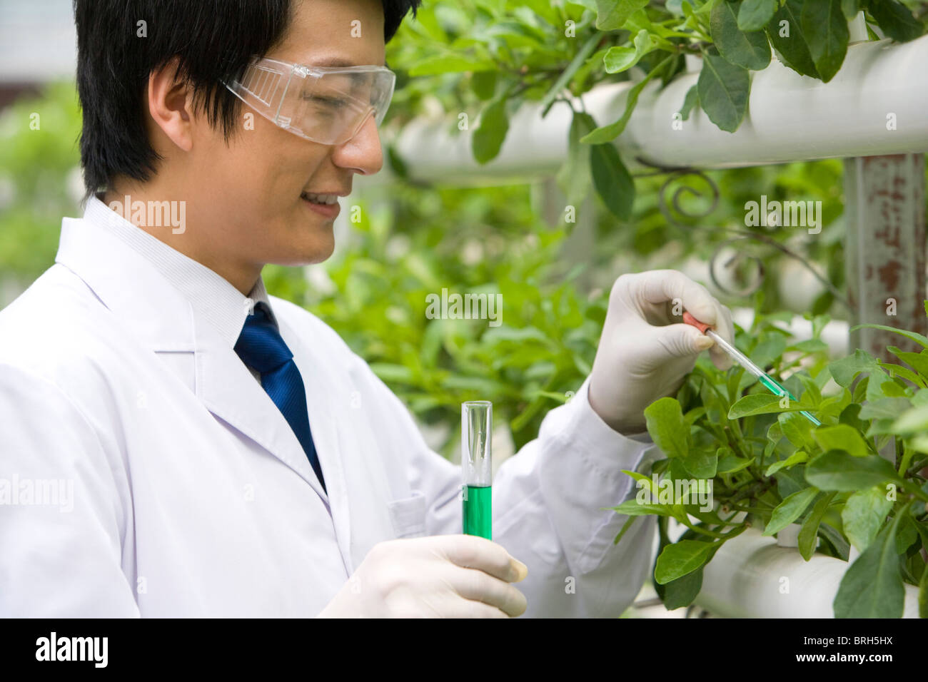 Scientists doing research in modern farm Stock Photo - Alamy
