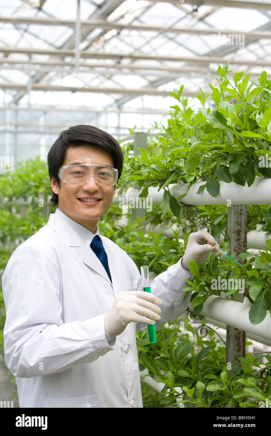 Scientists doing research in modern farm Stock Photo - Alamy