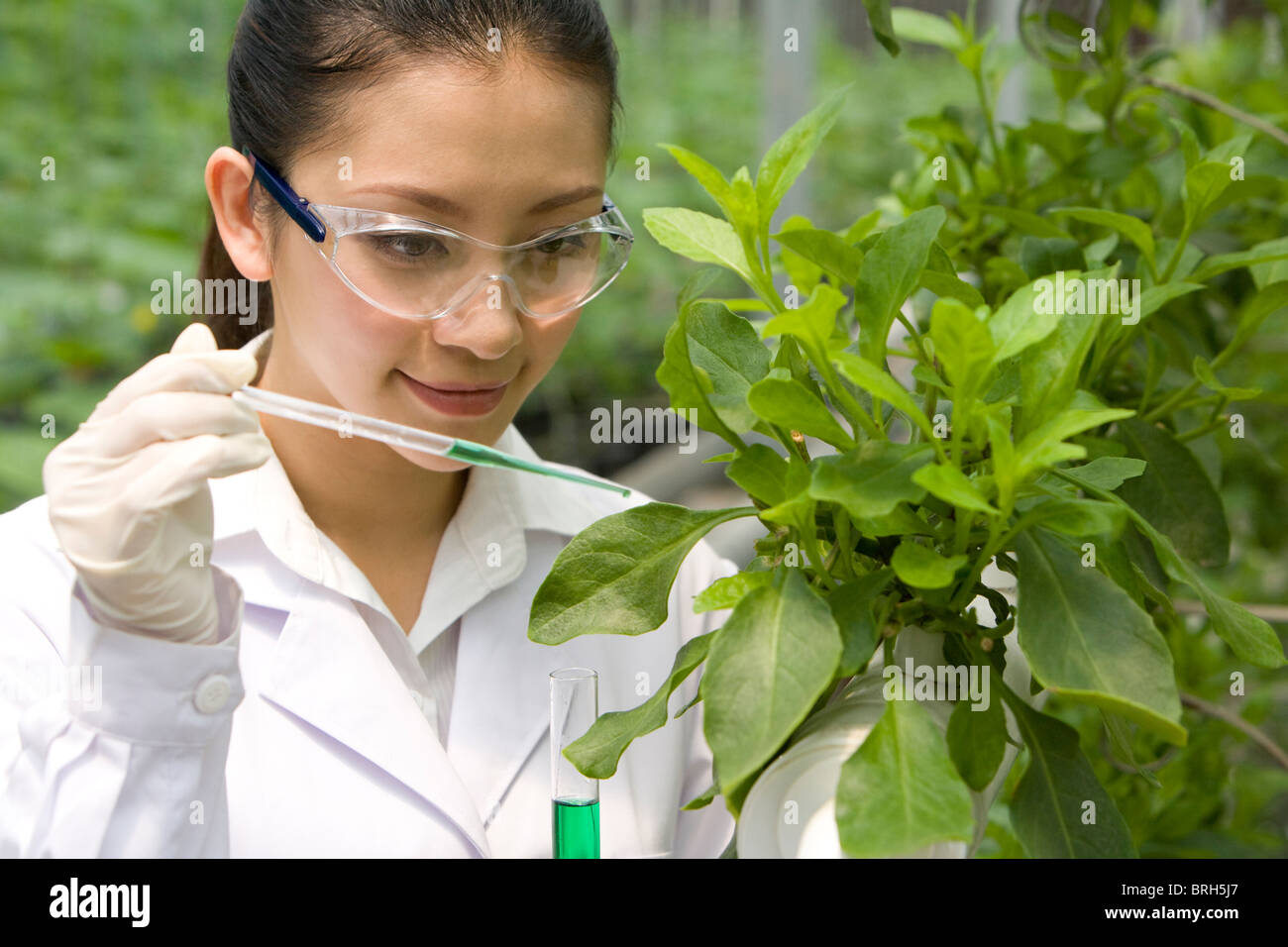 Scientists doing research in modern farm Stock Photo - Alamy