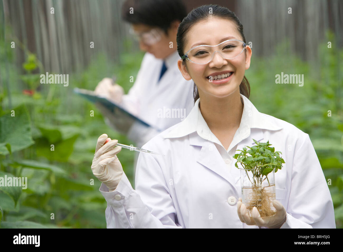 Scientists doing research in modern farm Stock Photo - Alamy