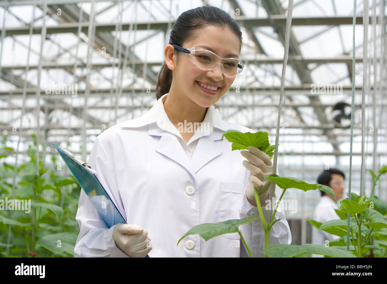 Experiment Farm High Resolution Stock Photography and Images - Alamy