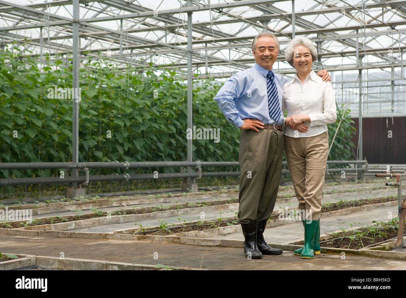 Senior couple in modern farm Stock Photo - Alamy