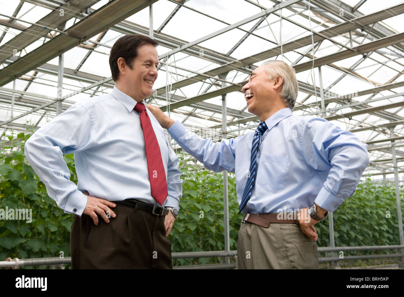 Businessmen in modern farm Stock Photo - Alamy
