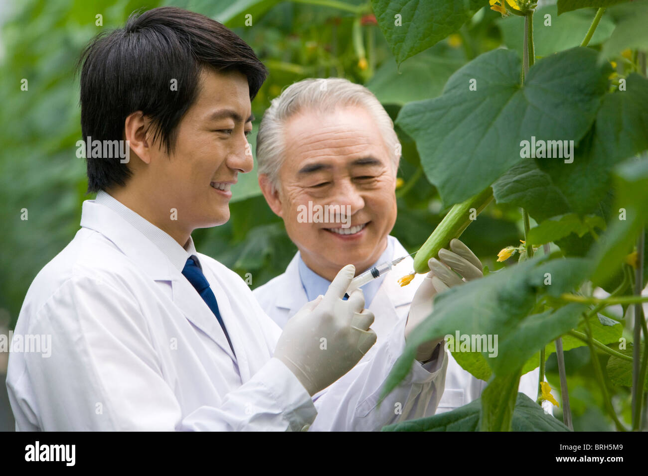 Agricultural Research Building High Resolution Stock Photography and ...