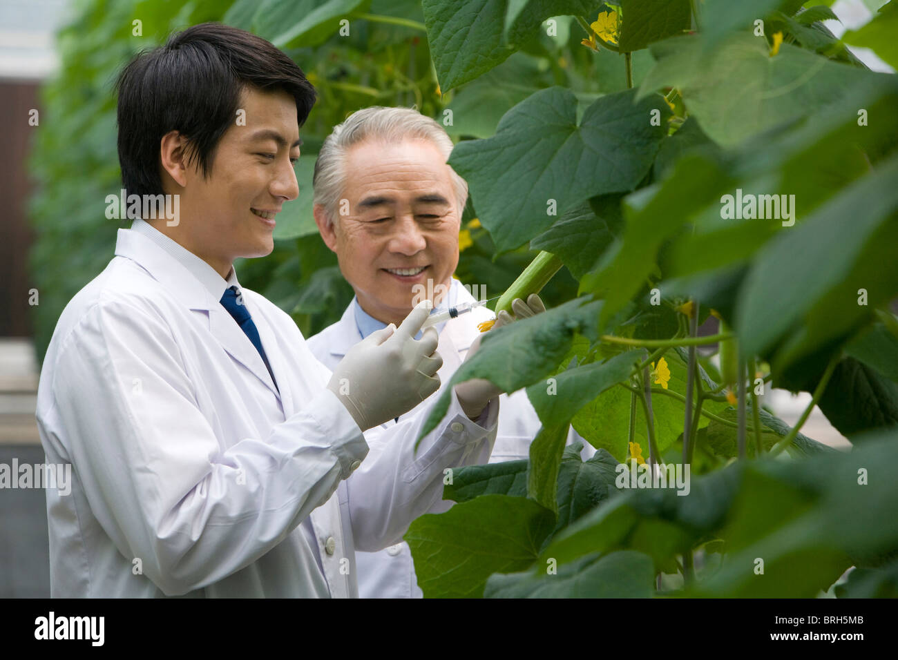 Young scientists outdoors hi-res stock photography and images - Alamy