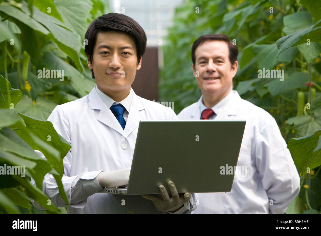 Scientists doing research in modern farm Stock Photo - Alamy