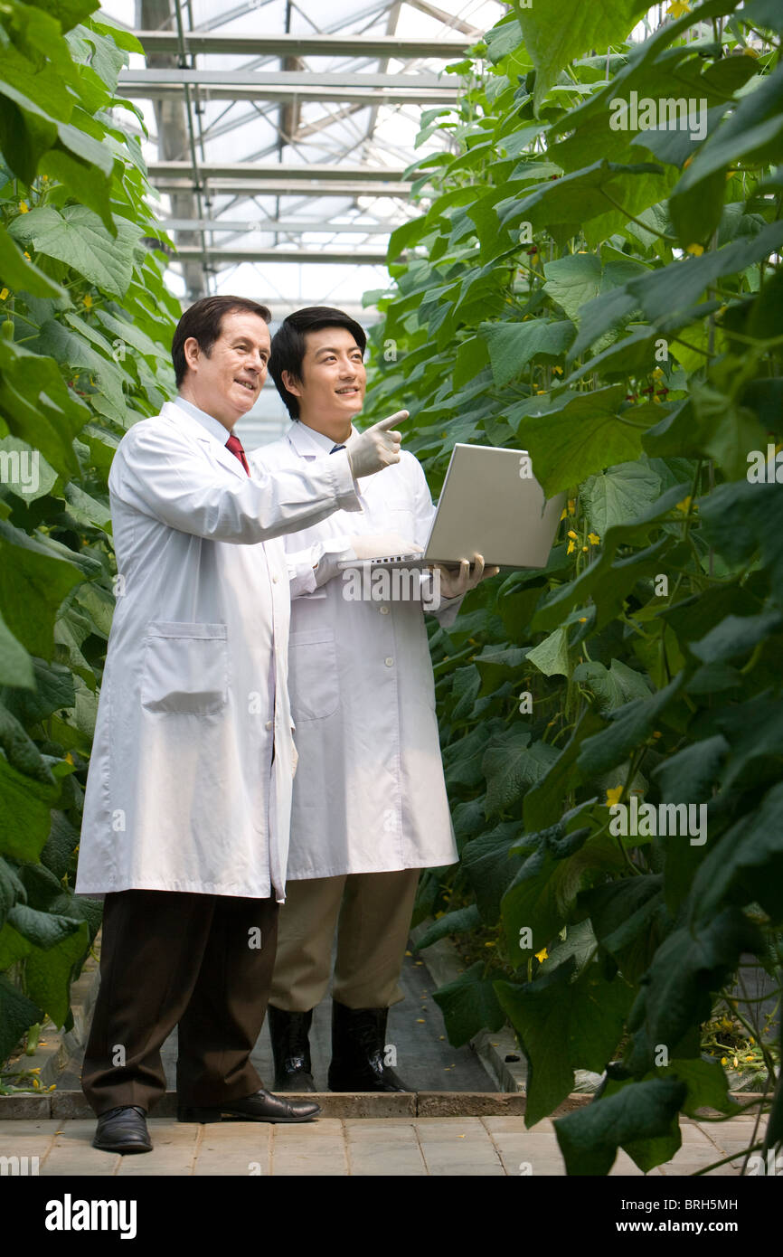 Scientists doing research in modern farm Stock Photo - Alamy