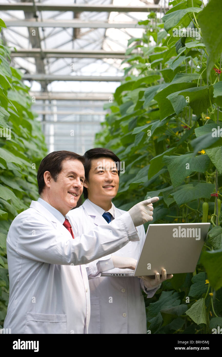 Scientists doing research in farm hi-res stock photography and images ...