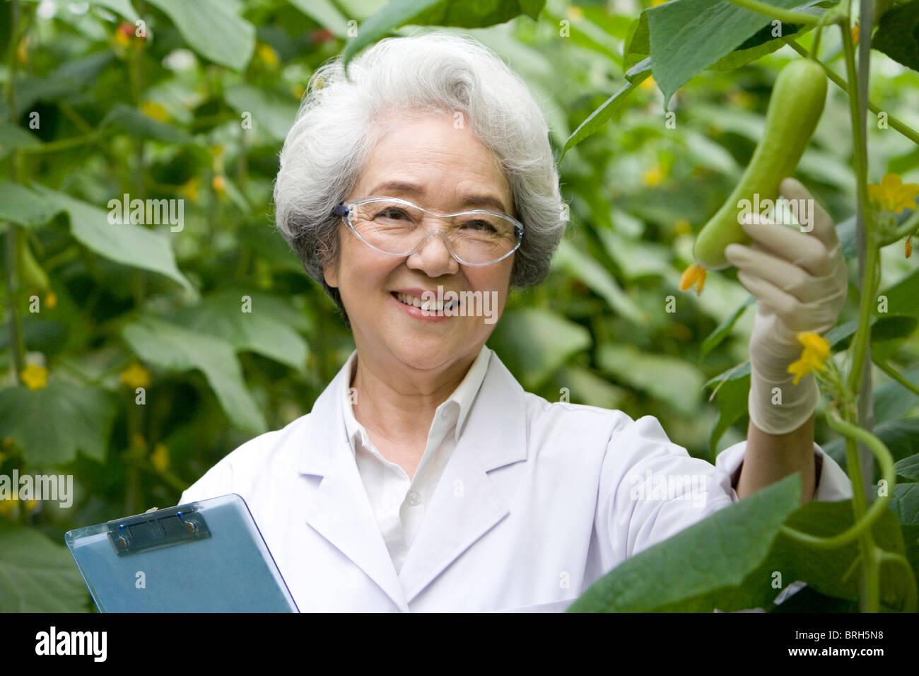Agricultural Science Stock Photos & Agricultural Science Stock Images ...