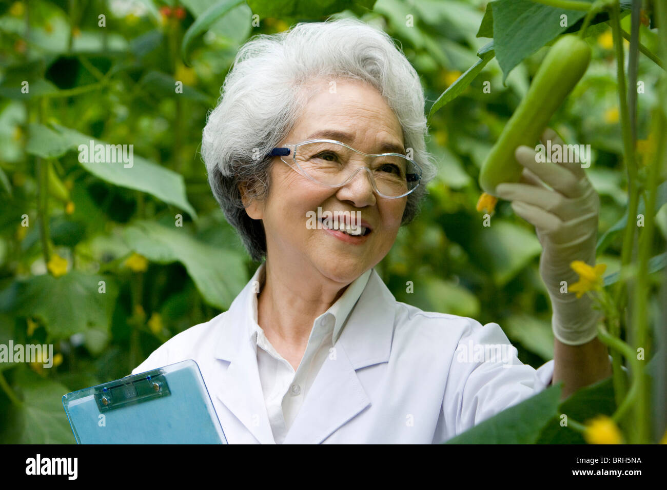 Scientists doing research in modern farm Stock Photo - Alamy