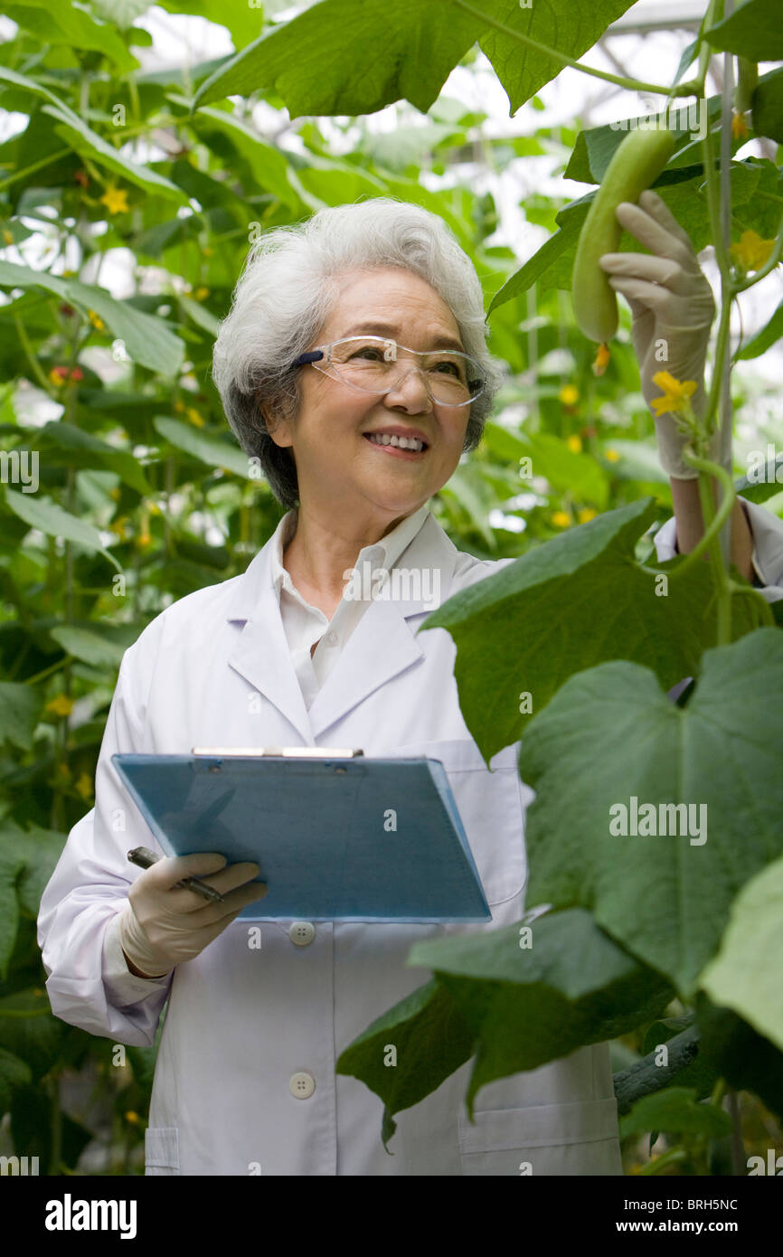 Agricultural research hi-res stock photography and images - Alamy