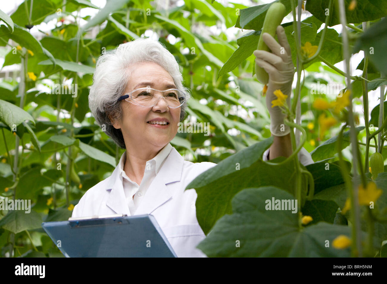 Scientists doing research in modern farm Stock Photo - Alamy