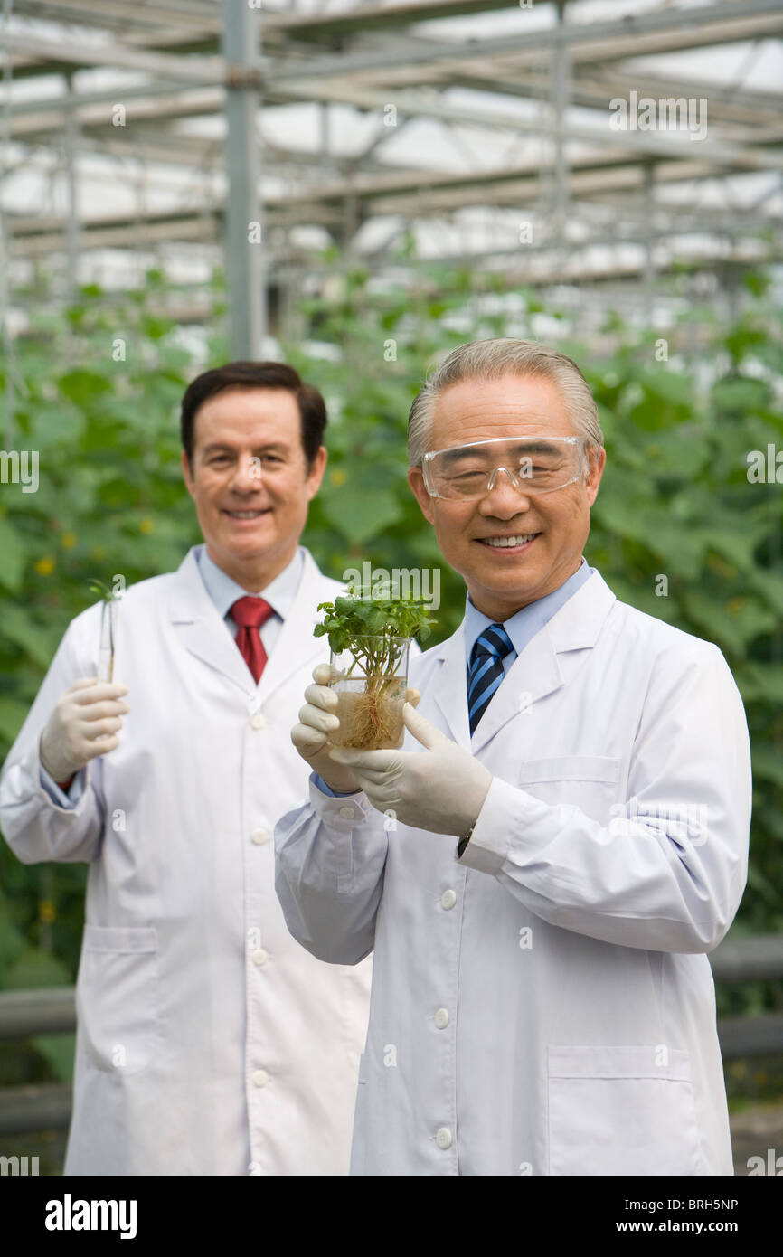 Scientists doing research in modern farm Stock Photo - Alamy