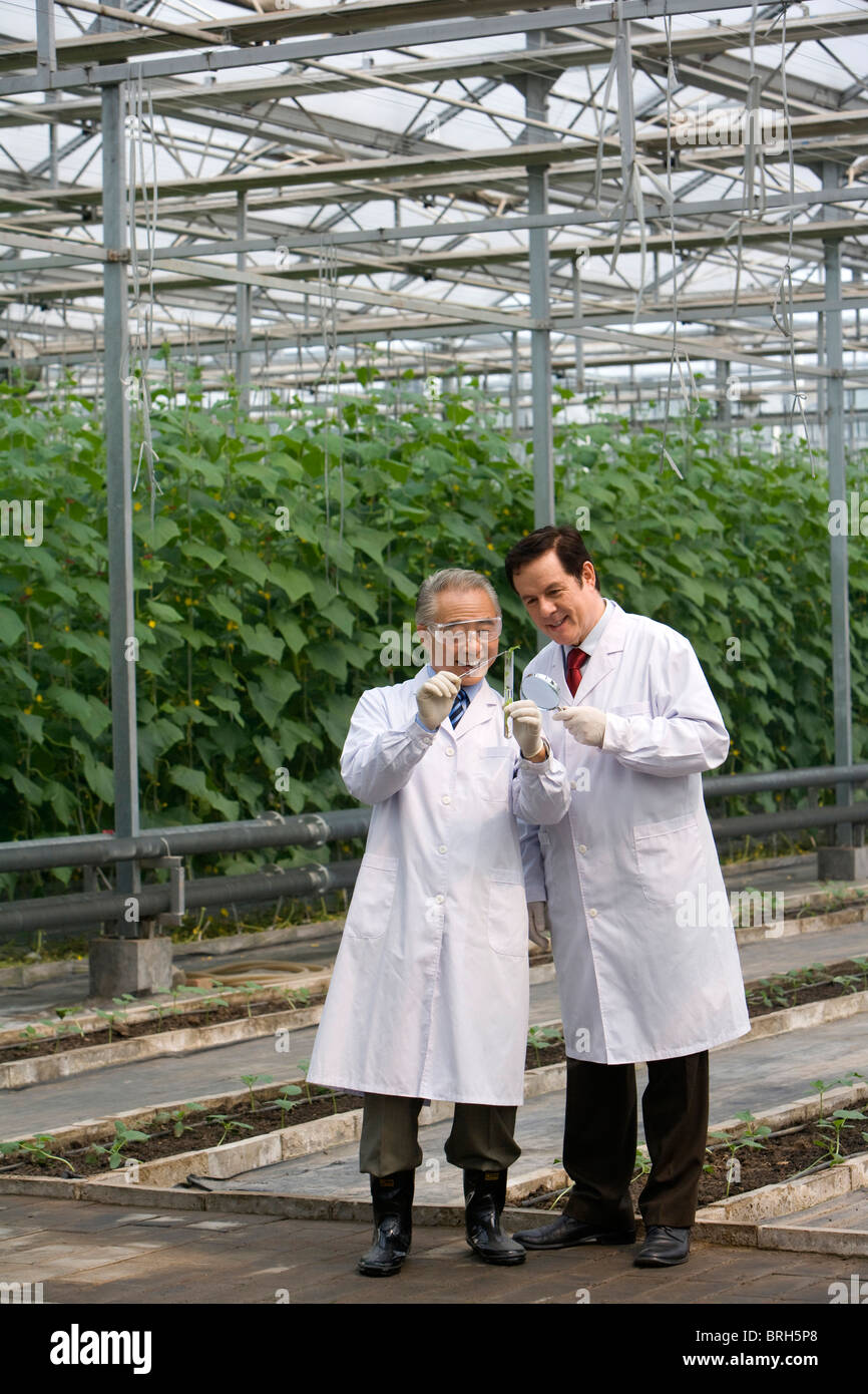 Scientists doing research in modern farm Stock Photo - Alamy