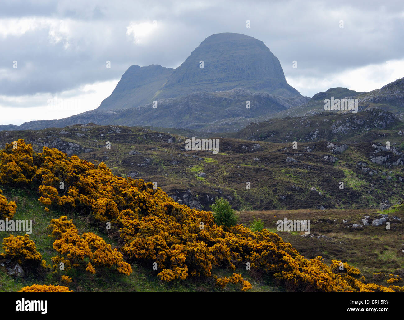 Suilven from Glencanisp Lodge. Inverpolly Nature Reserve, Sutherland ...