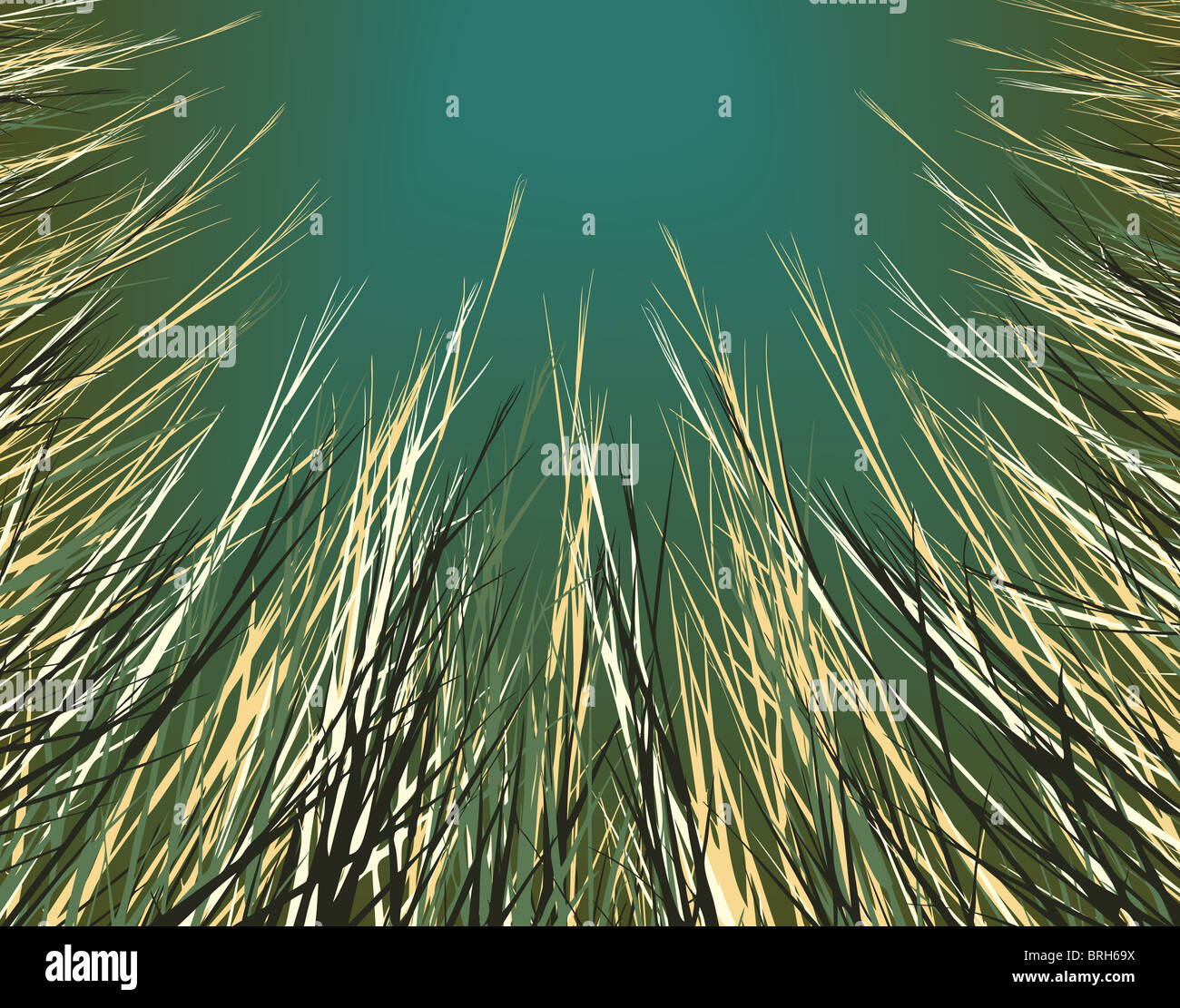Illustrated design looking up through rough grass Stock Photo - Alamy