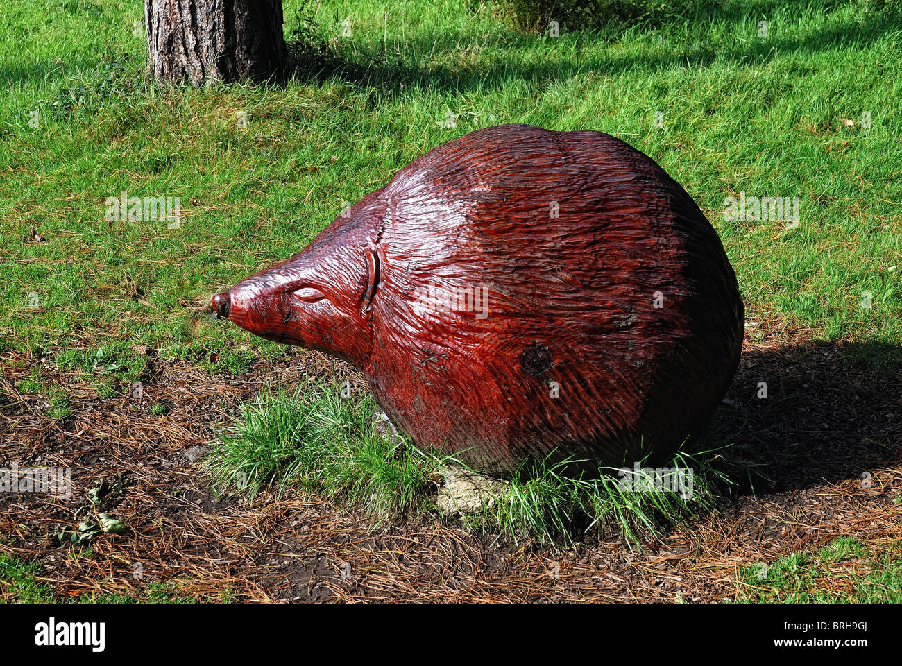 wooden carved hedgehog fairholmes Derbyshire England uk Stock Photo - Alamy