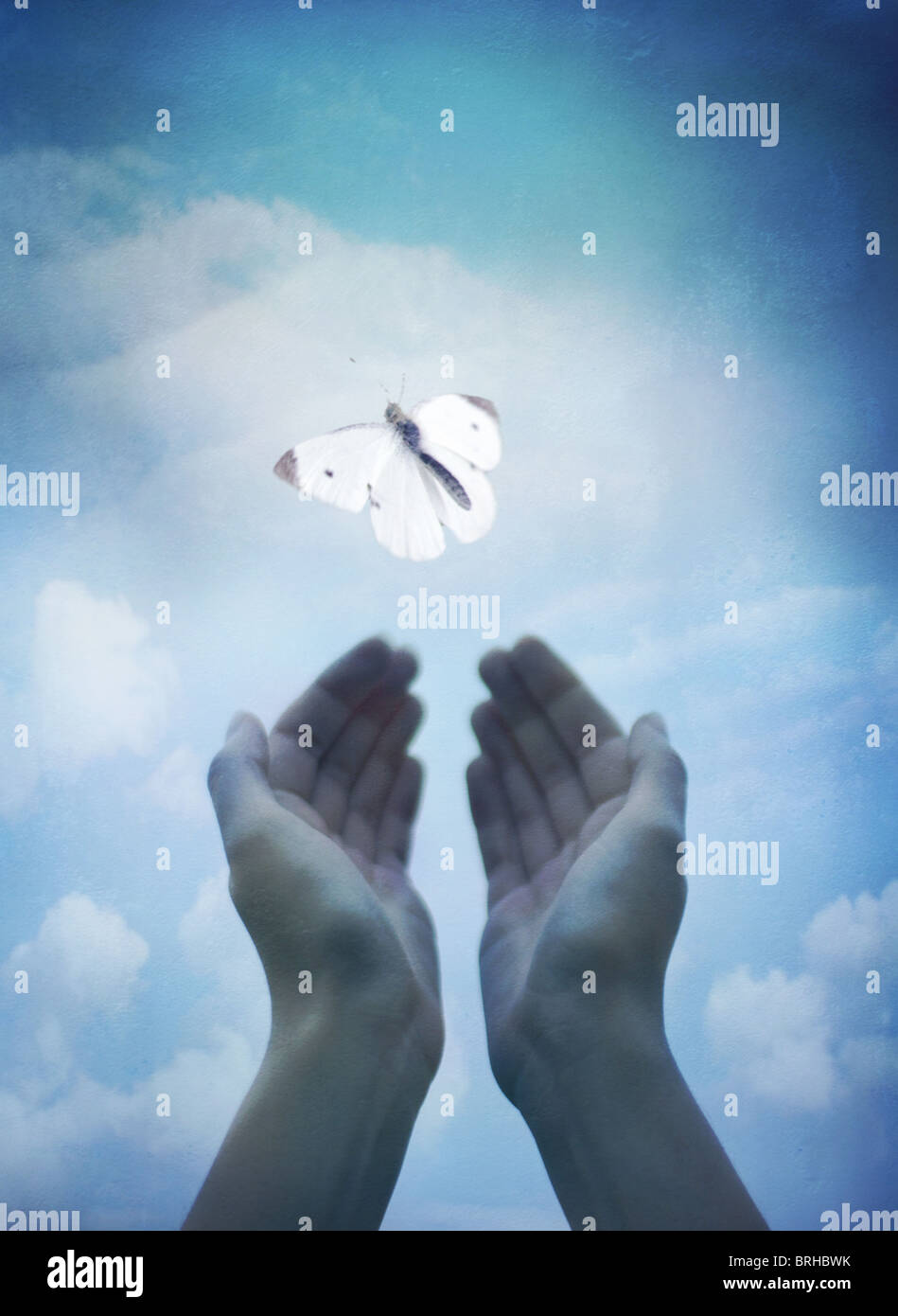 hands holding a butterfly Stock Photo - Alamy