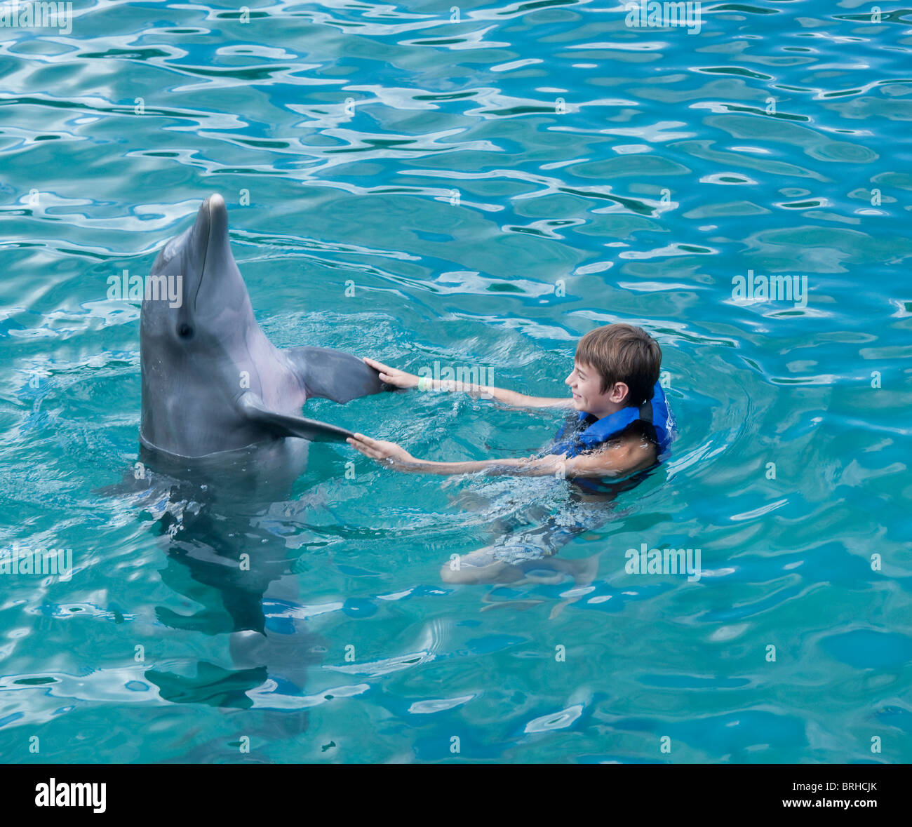 Swimming with Dolphin, Mexico Stock Photo - Alamy