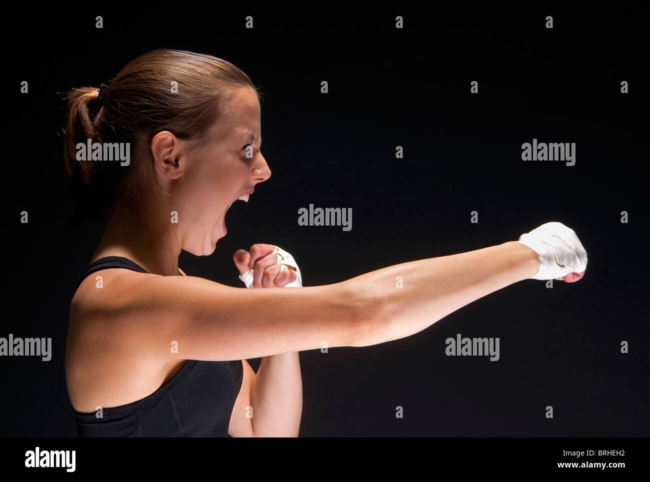 Portrait of Boxer Stock Photo - Alamy