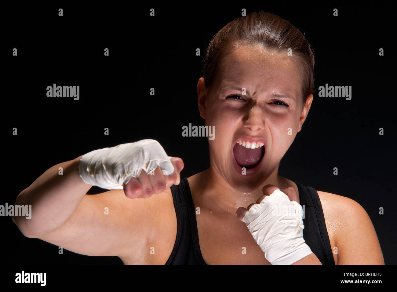 Portrait of Boxer Stock Photo - Alamy