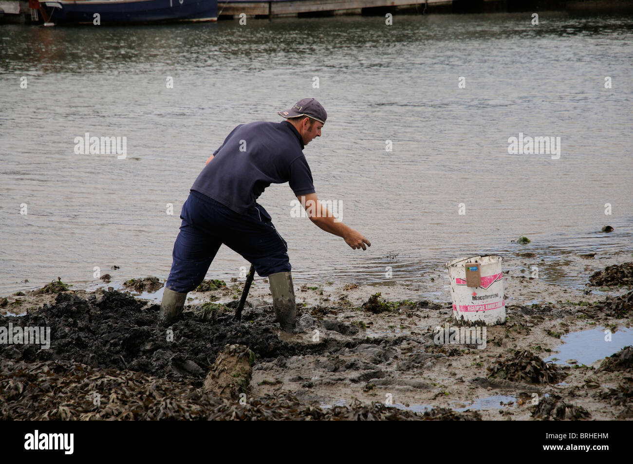 Bait digging for lugworms hi-res stock photography and images - Alamy