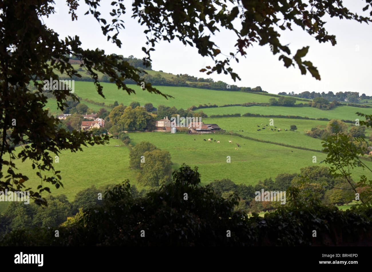 Mooney valley hi-res stock photography and images - Alamy