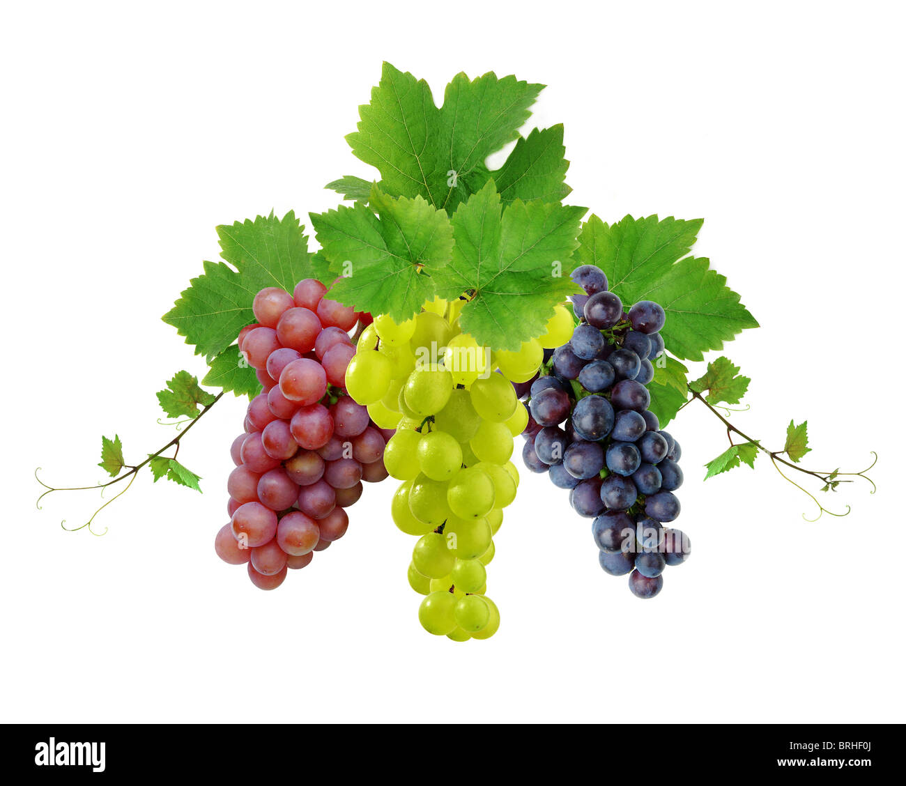 Clusters of three hi-res stock photography and images - Alamy