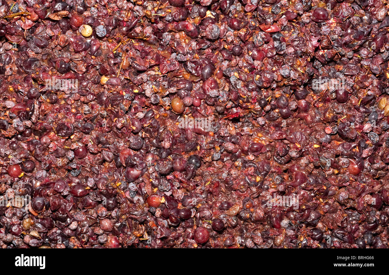 Grapes crete greece hi-res stock photography and images - Alamy