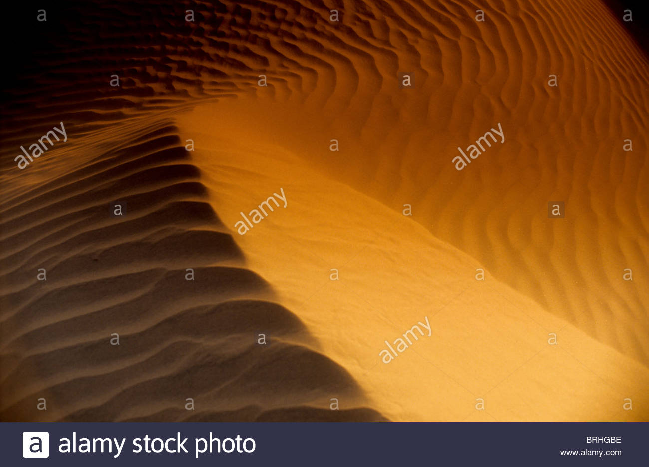 A wind swept sand dune in north west India Stock Photo - Alamy