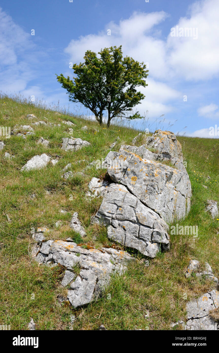 Limestone Outcrop High Resolution Stock Photography and Images - Alamy