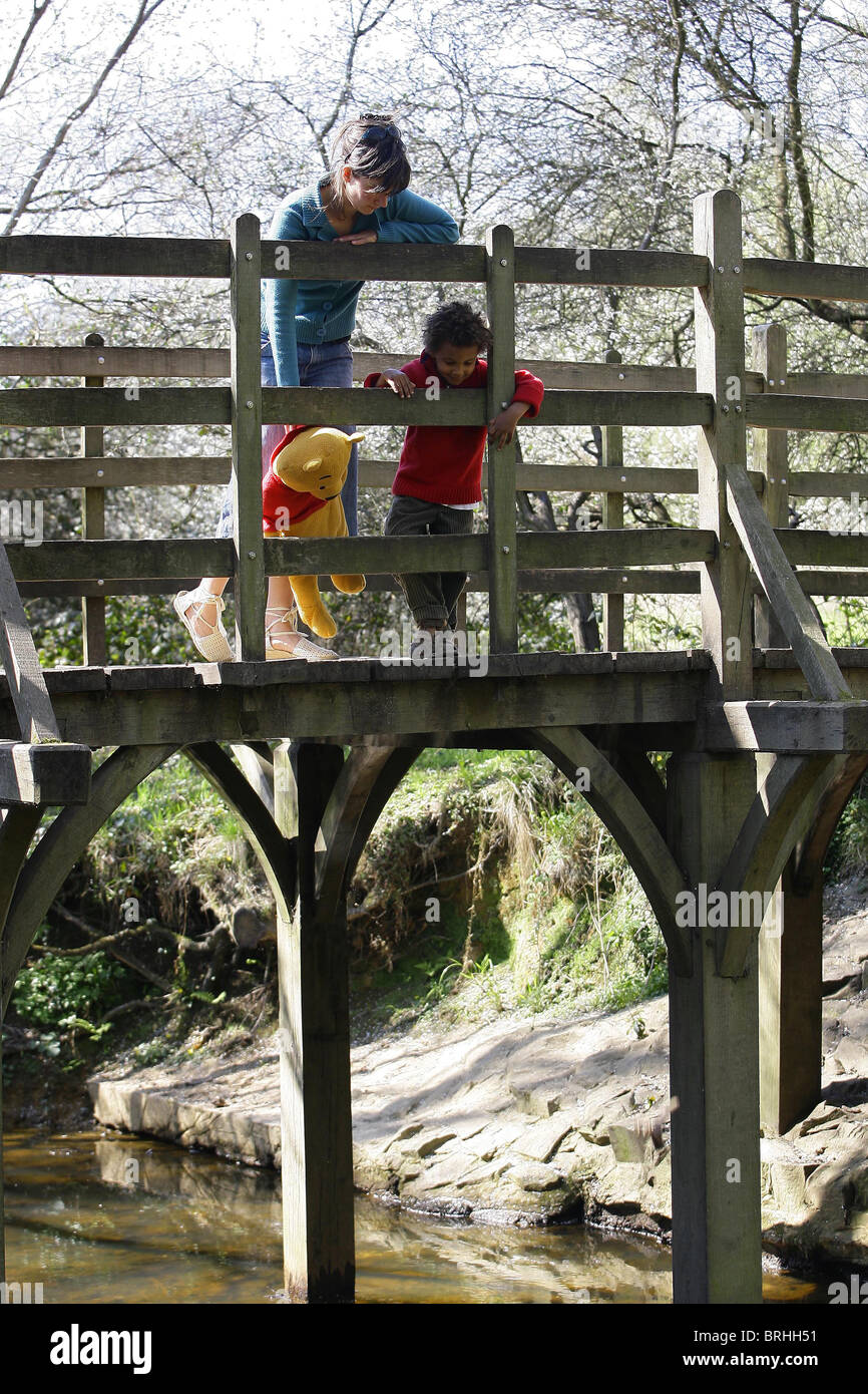A young boy plays Pooh sticks on Pooh Bridge in the Ashdown Forest ...