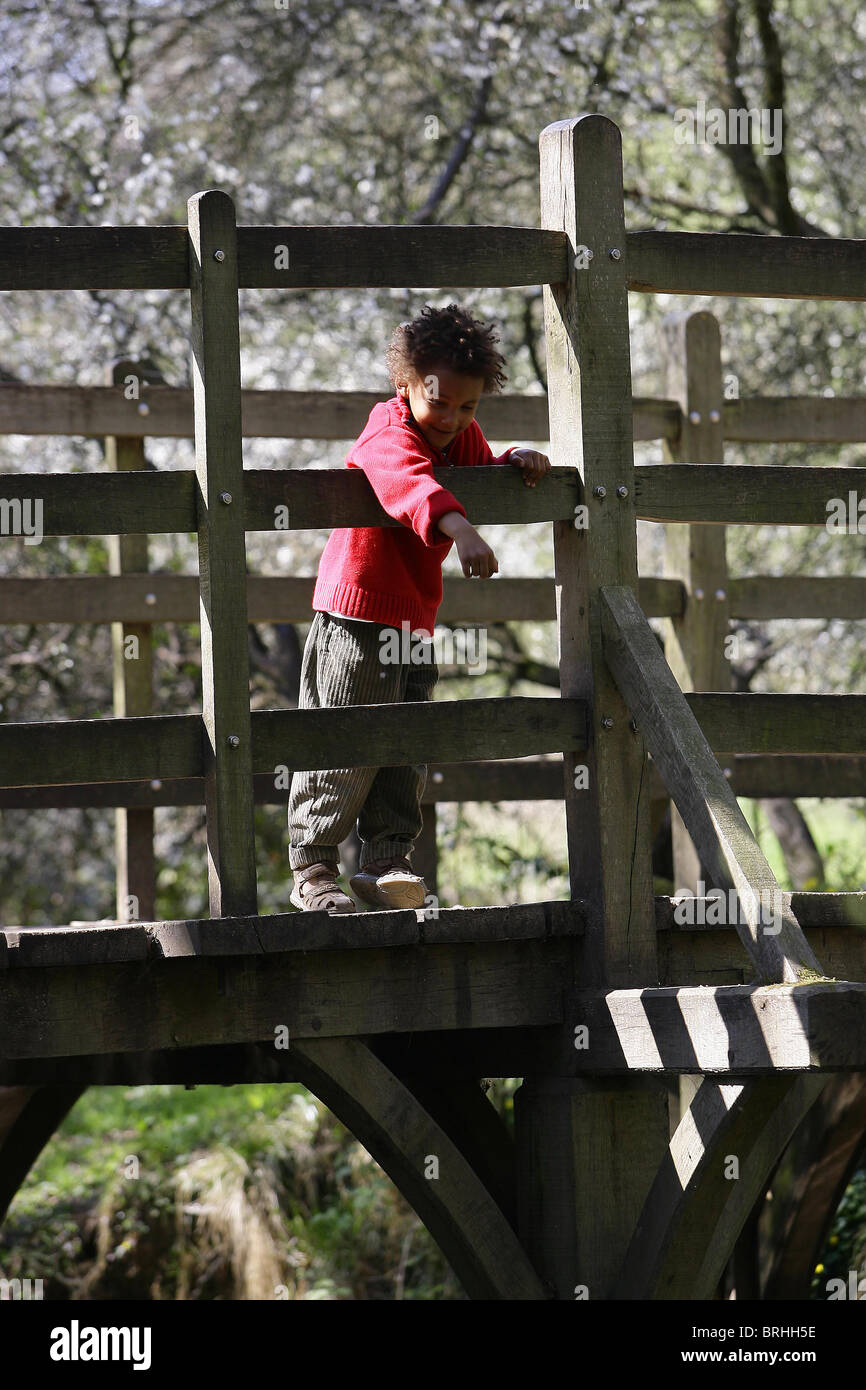 Pooh Sticks Bridge Ashdown Forest High Resolution Stock Photography and ...