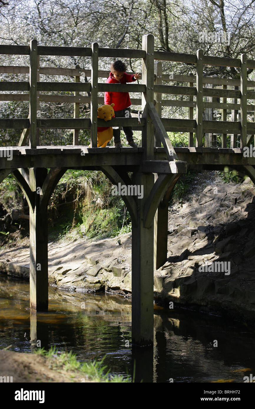 Pooh sticks bridge ashdown forest hi-res stock photography and images ...