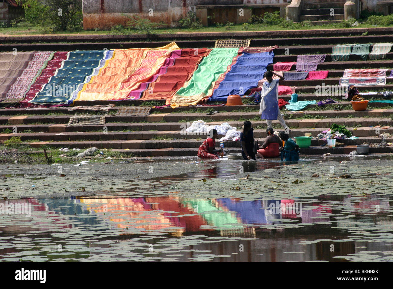 Women washing saris in a temple pond in Chettinad, South India Stock ...