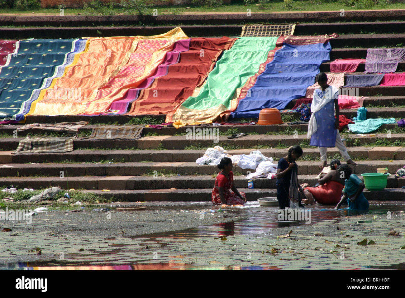 Women washing saris in a temple pond in Chettinad, South India Stock ...