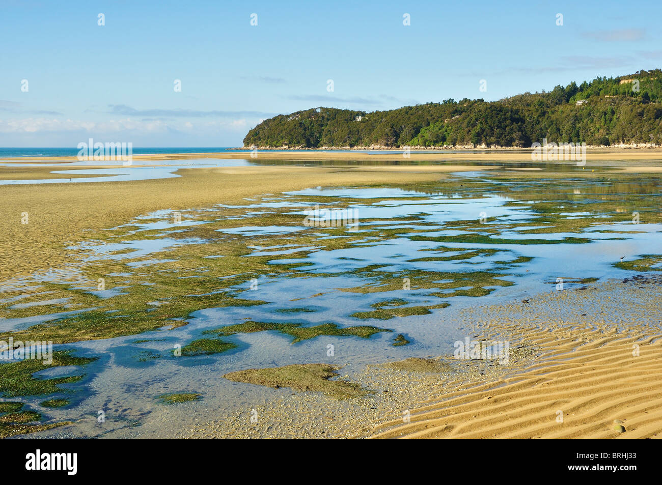 Sandy Bay, Marahau, Abel Tasman National Park, South Island, New Zealand Stock Photo - Alamy