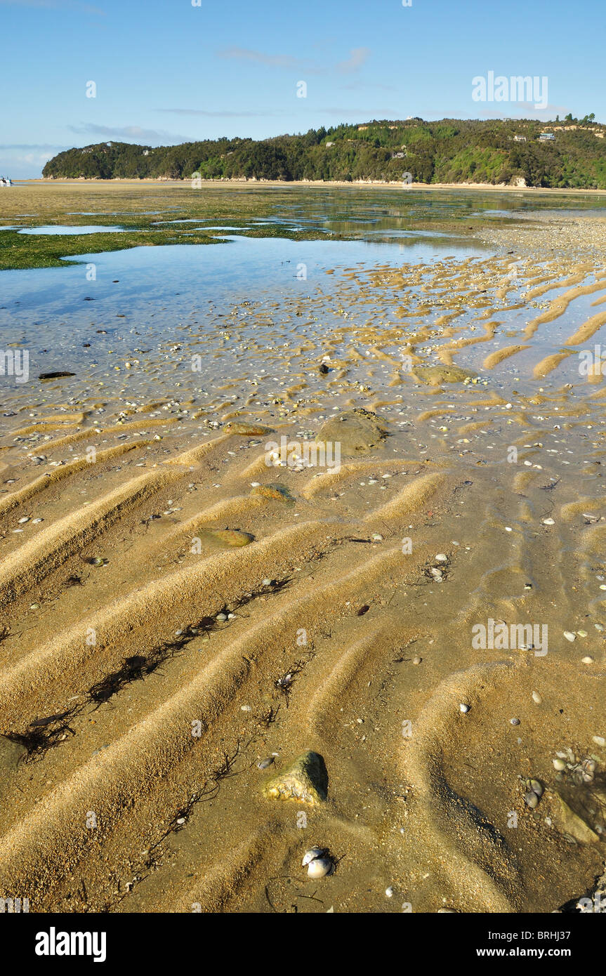 Sandy Bay, Marahau, Abel Tasman National Park, South Island, New Zealand Stock Photo - Alamy