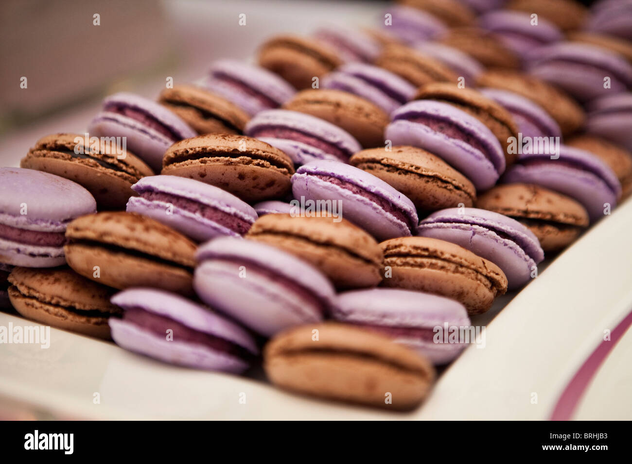 Box of Macarons Stock Photo - Alamy
