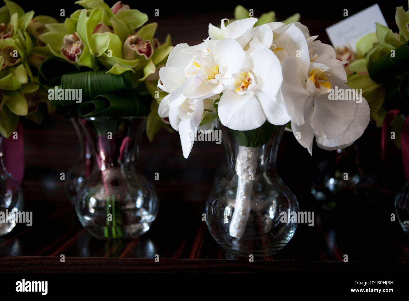 Flower lineup hi-res stock photography and images - Alamy