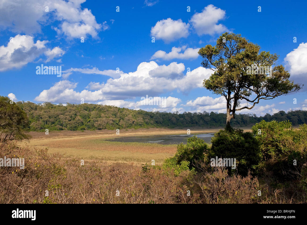 Crater at Marsabit National Park and Reserve, Marsabit District, Kenya ...