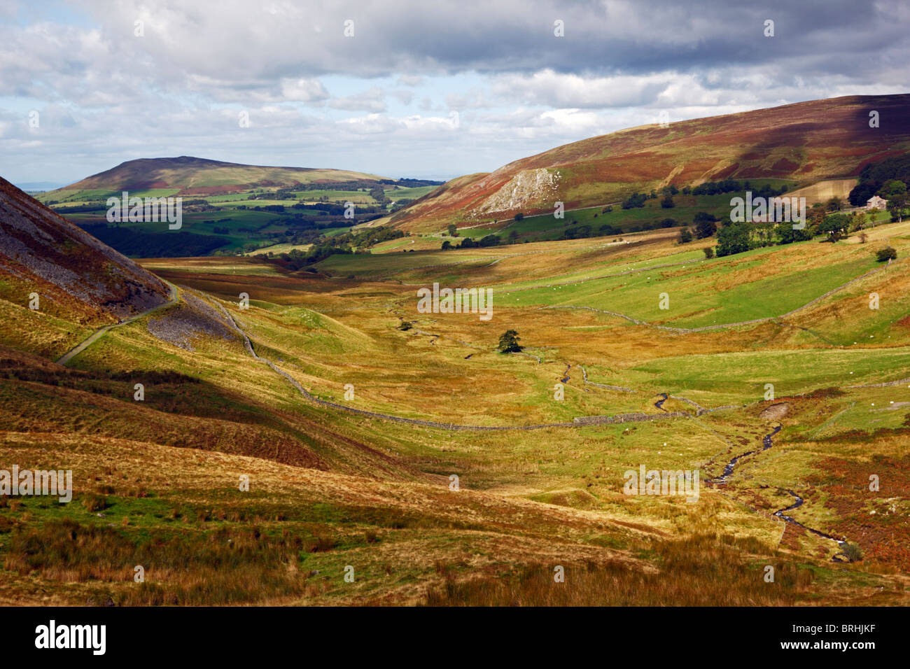 Binsey hi-res stock photography and images - Alamy