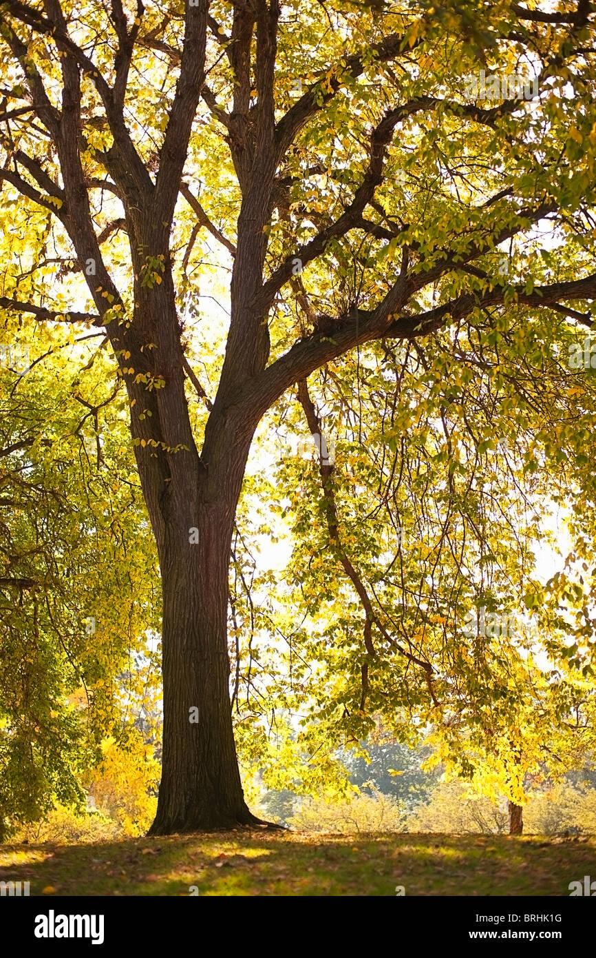 Noon seattle washington hi-res stock photography and images - Alamy