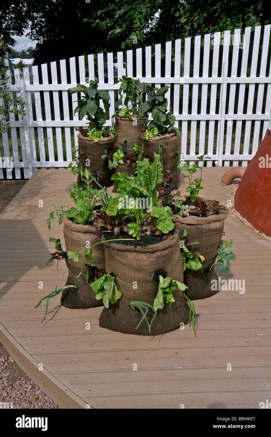 A small urban garden with vegetables grown in containers Stock Photo ...