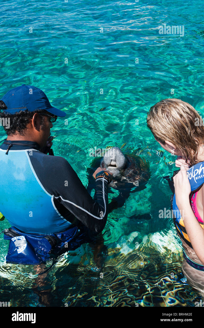 Mexico, Cozumel. Dolphin Discovery at Chankanaab Park, san miguel, Isla ...
