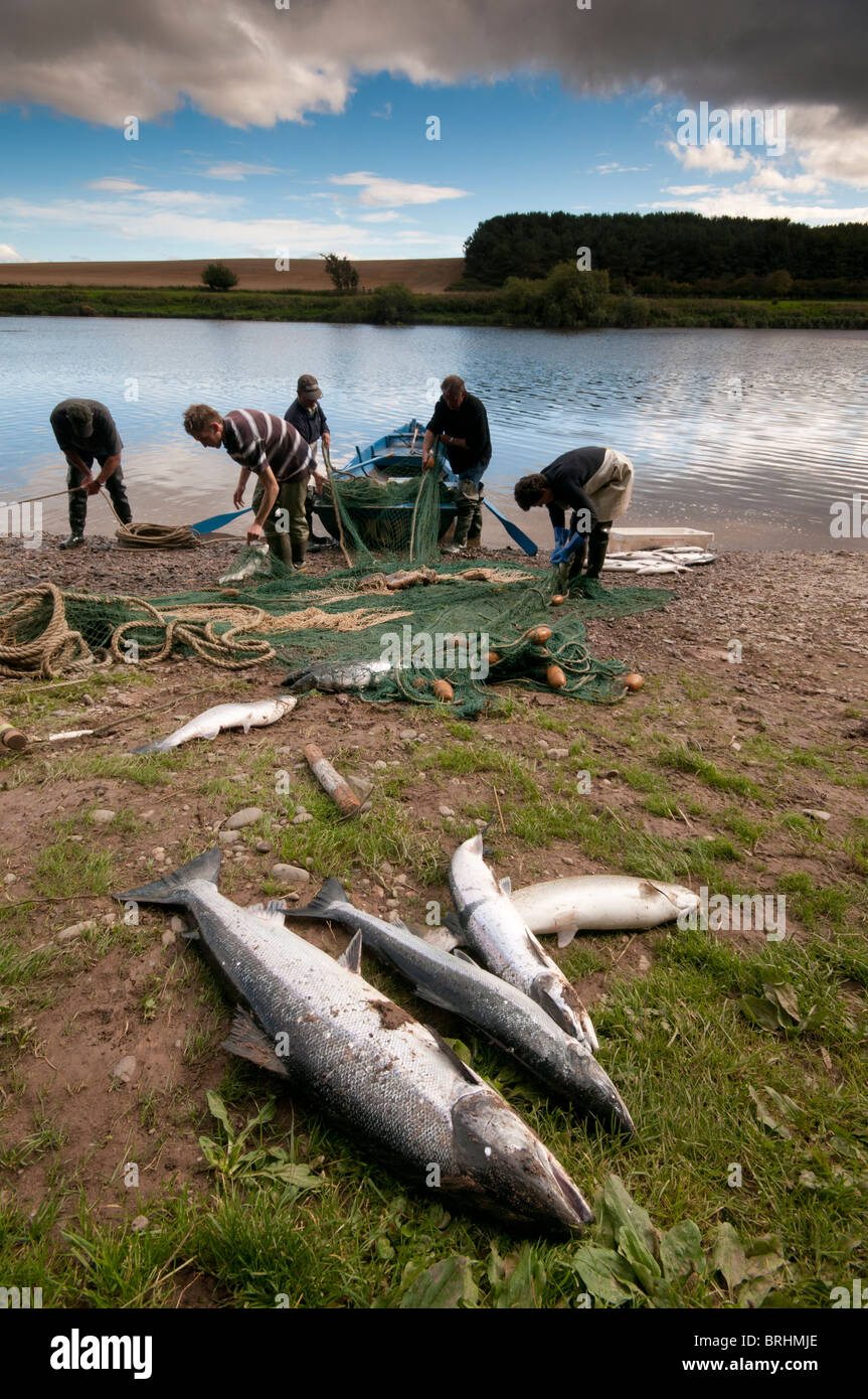 Paxton fishery hi-res stock photography and images - Alamy